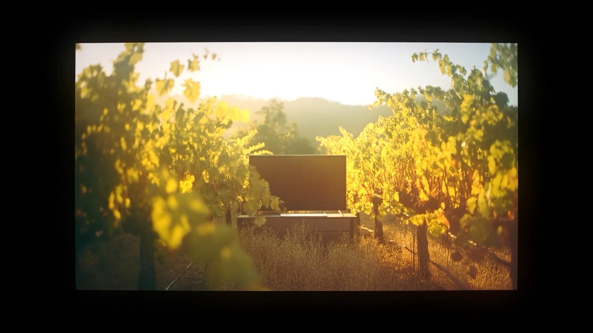 Vibe: Streaming & Connected TV Advertising Platform